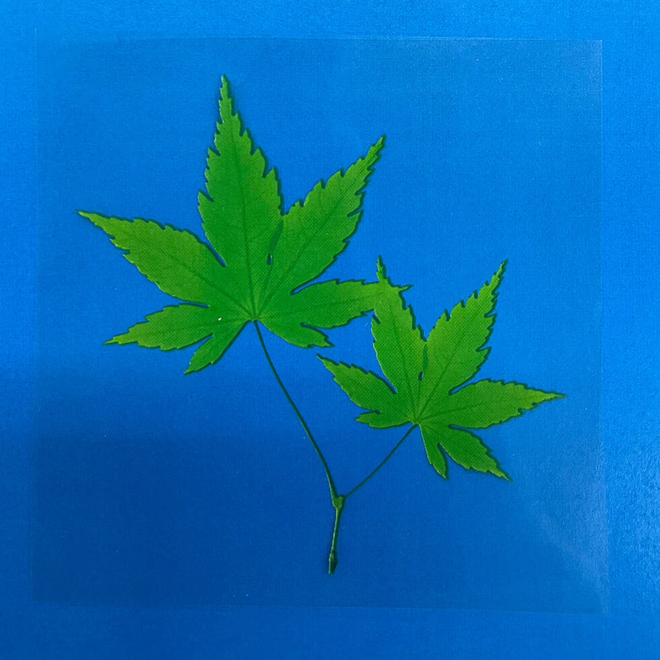 新鮮生シート – 株式会社 島田昌